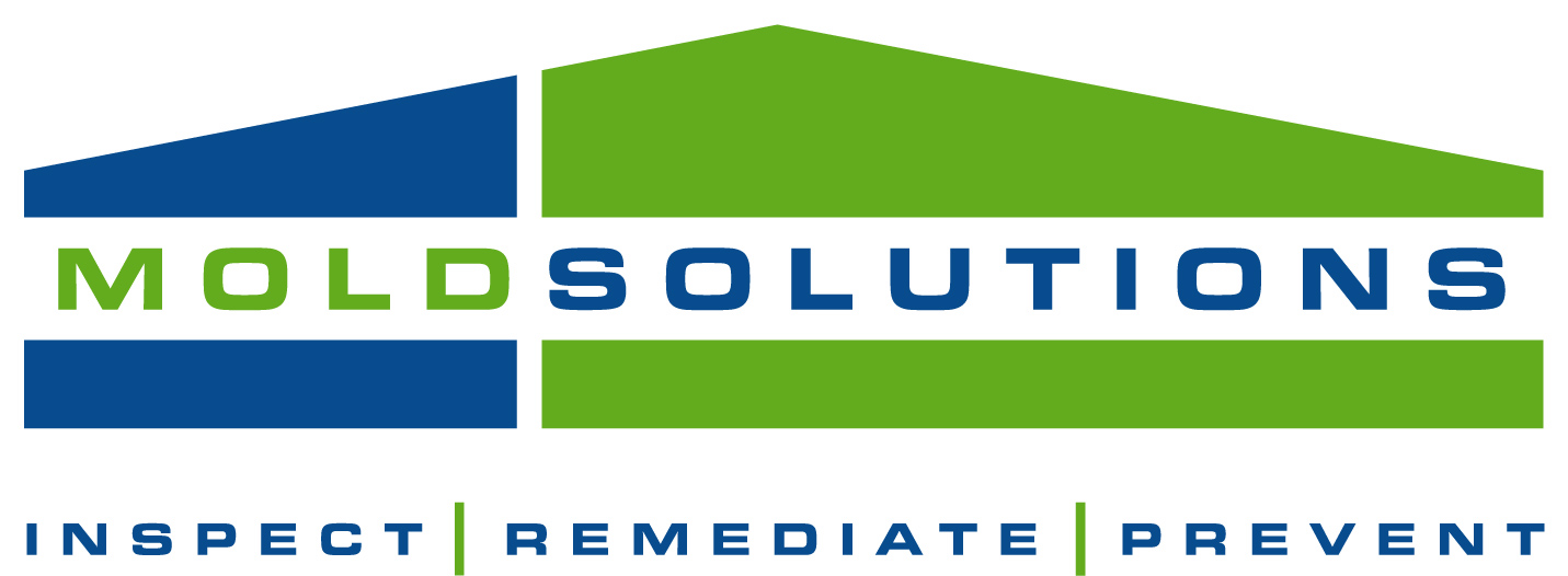Who We Are | Mold Solutions